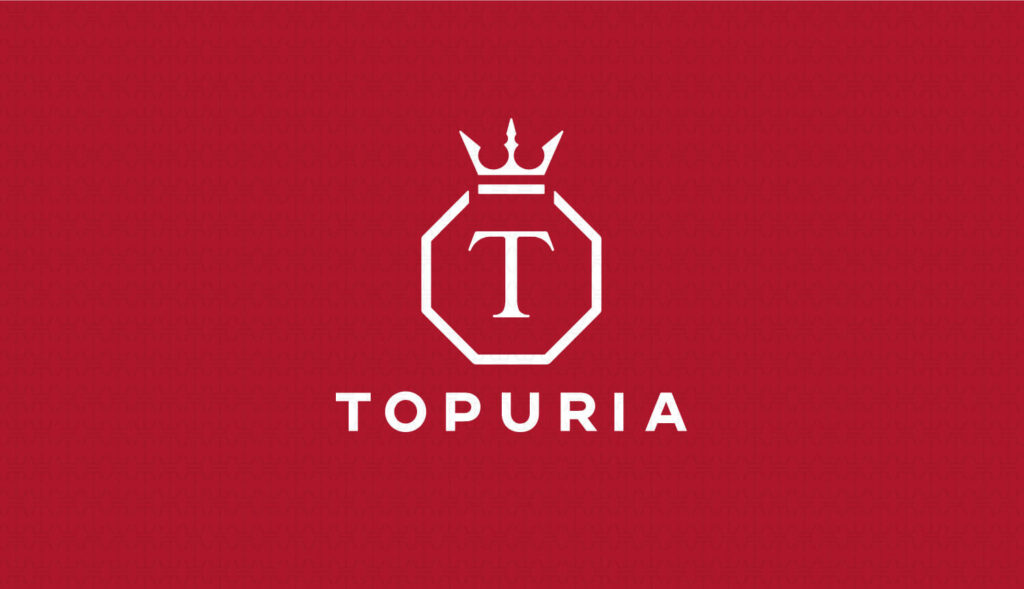 Ilia Topuria - Grupoidex